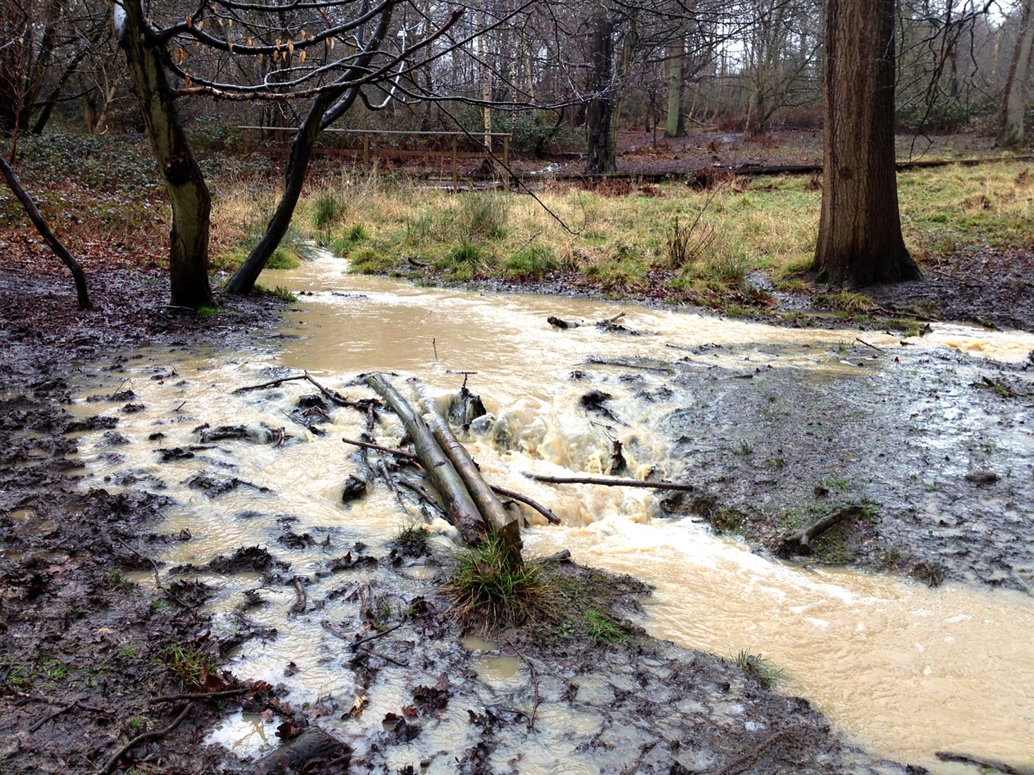 An innovative approach to flood risk